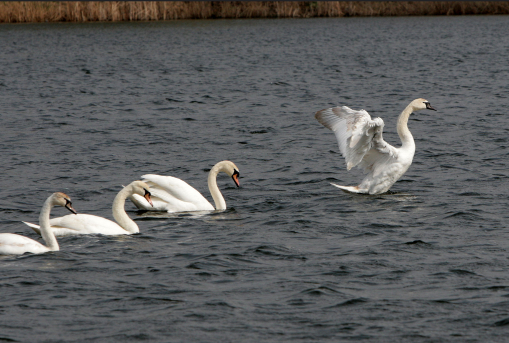 EU Water Initiative identifies more than 67,000 pollutants in Dnipro ...