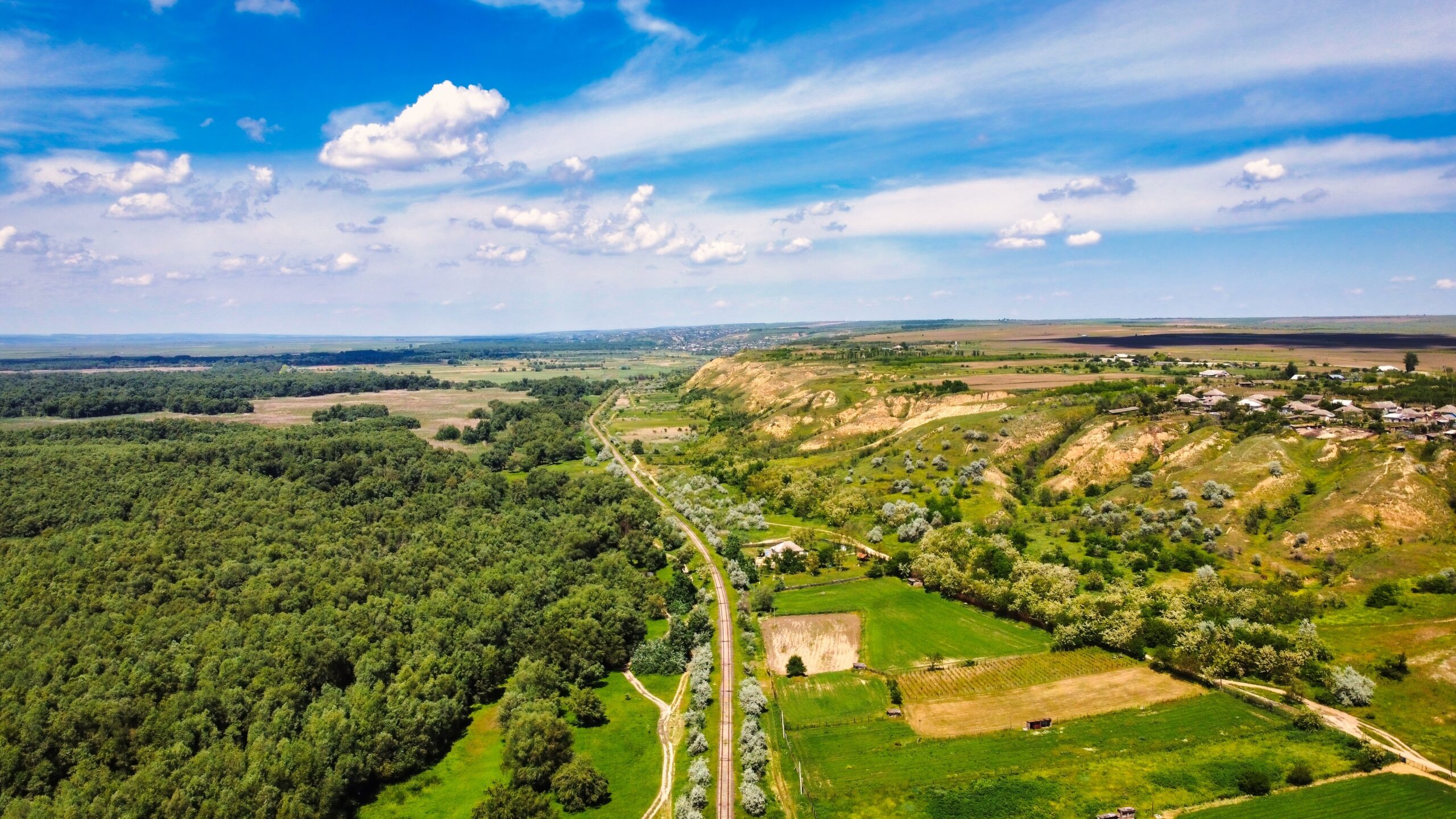 International Day of Forests: EU helping Moldova to develop sustainable ...