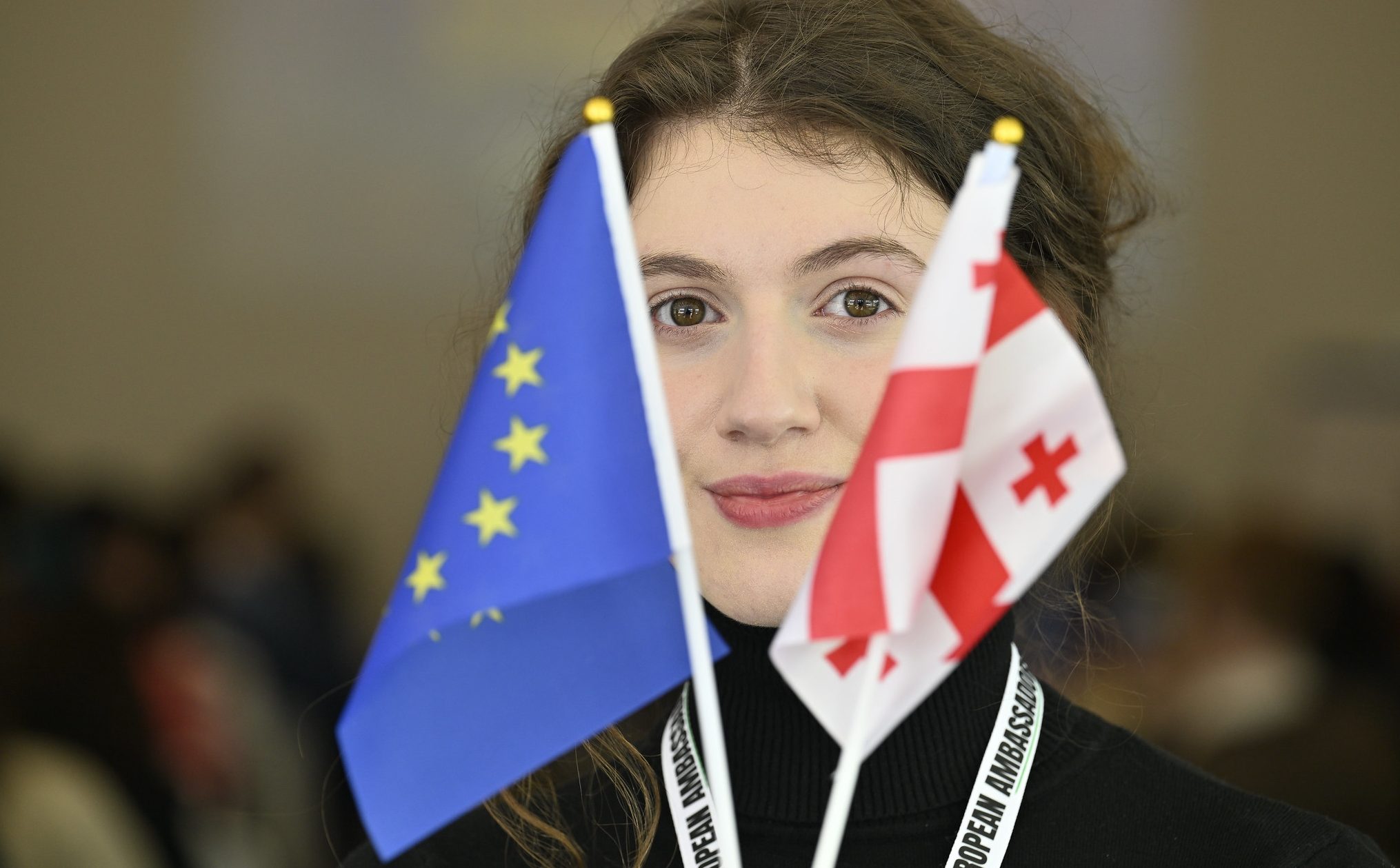 Georgia accession process de facto halted as EU calls on government to ...